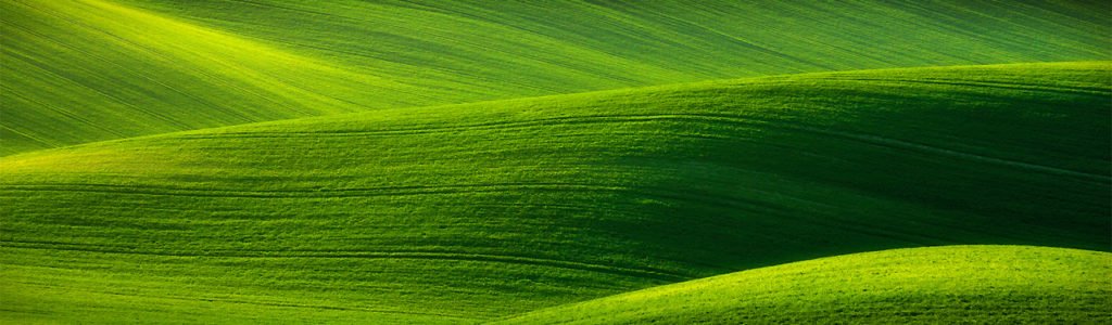 beautiful-green-nature-grass-hills-background-header | Dignity Medical ...